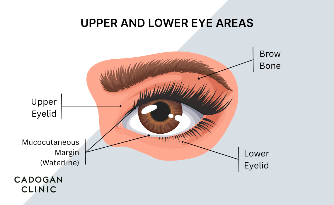 Upper vs Lower Blepharoplasty | Different Types of Blepharoplasty